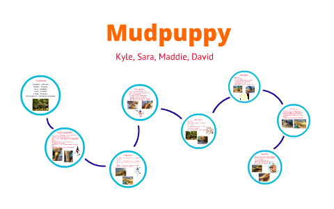 Mudpuppy Bio Presentaion by Kyle Shivers on Prezi