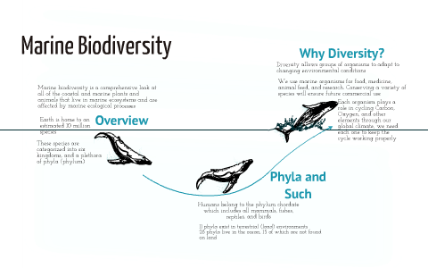 Introduction to Marine Biodiversity by Leslie Smith on Prezi