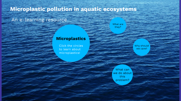 Microplastics in aquatic environments by Darcy Collings on Prezi