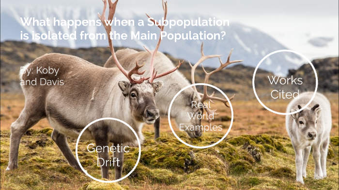 What happens when a Subpopulation is isolated from the Main Population ...