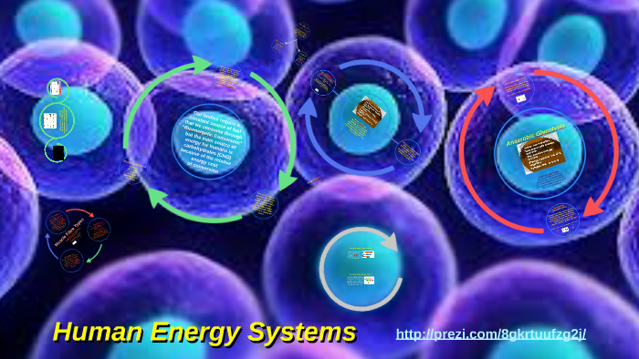 Human Energy Systems by Coach Steve Porter on Prezi