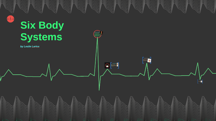 Six Body Systems by Leslie L