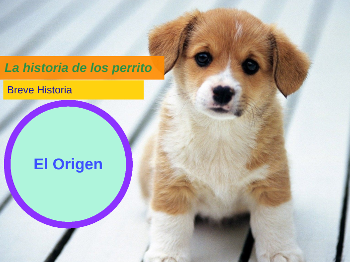 La historia de los perros by Fabricio Gonzalo on Prezi