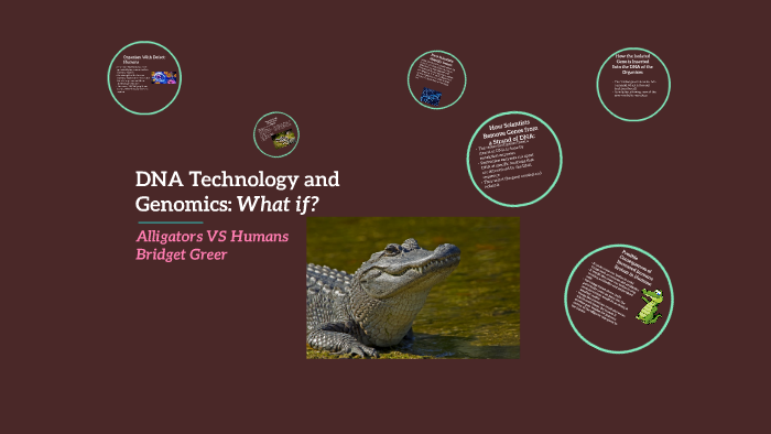 DNA Technology and Genomics: What if? by Bridget Greer on Prezi