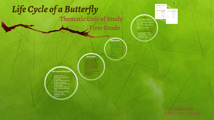 Thematic Unit Life Cycle of a Butterfly by on Prezi