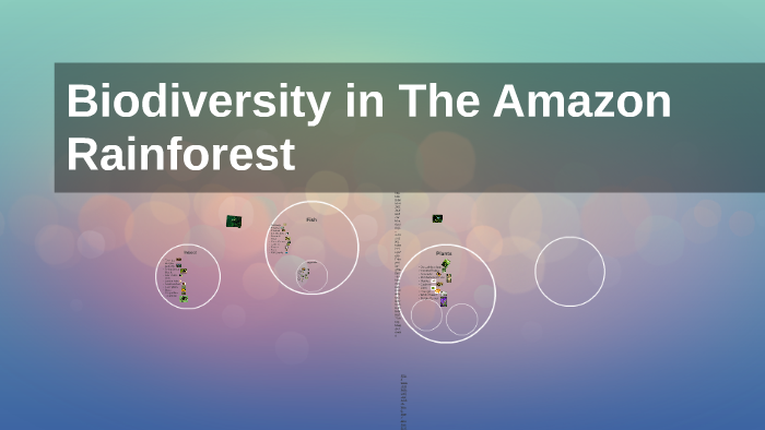 Biodiversity in The Amazon Rainforest by Stephanie Wachaga on Prezi