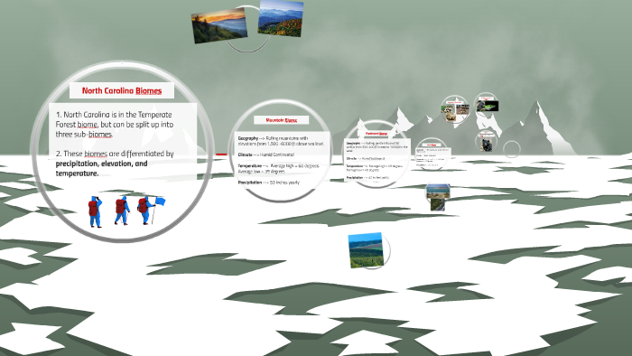 North Carolina Biomes by Michael Sheffield on Prezi