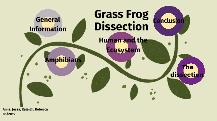 Grass Frog Taxonomy Project by Rebecca Wiens on Prezi