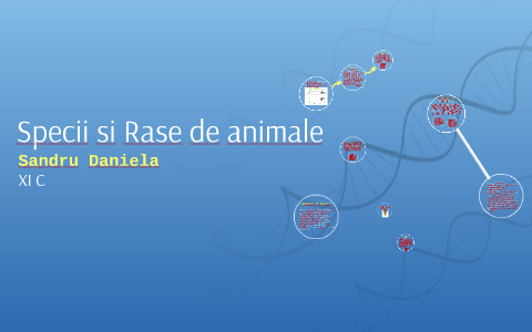 Specii si Rase by Daniela Sandru on Prezi