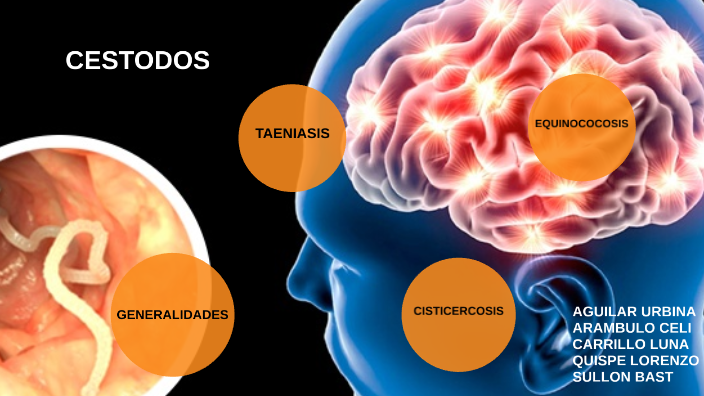 CESTODOS by alexandra aguilar on Prezi