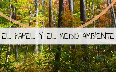 EL PAPEL Y EL MEDIO AMBIENTE by andrea arce on Prezi