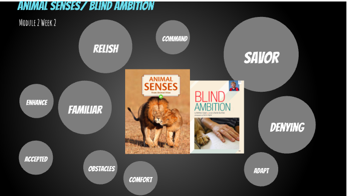 4.2.2 Animal Senses/ Blind Ambition by Beth Buckner on Prezi