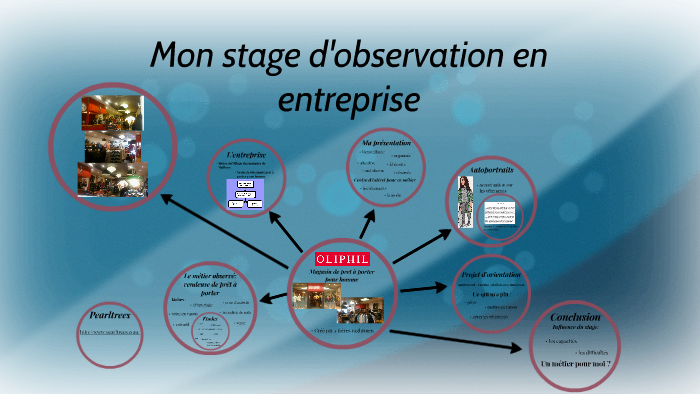 Stage d'observation en entreprise by Elise Alba on Prezi
