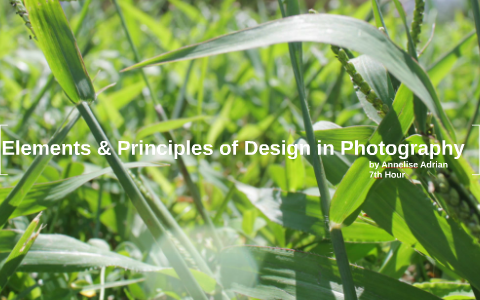 Elements and Principles of Design in Photography by Annelise 314 on Prezi
