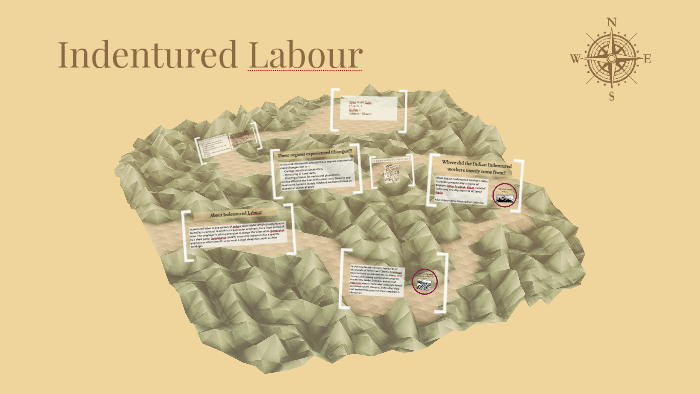 Indentured Labour by abdul nabi