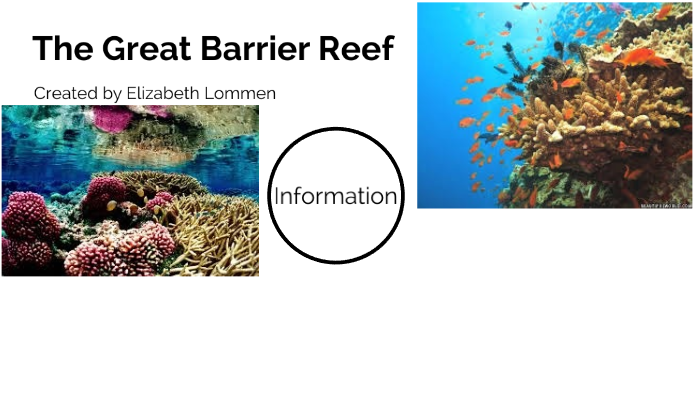 The Great Barrier Reef by ELIZABETH LOMMEN on Prezi