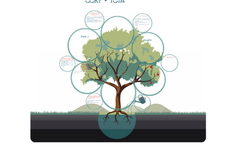 What is The Purpose of the YCJA? by Amy Stefaniuk