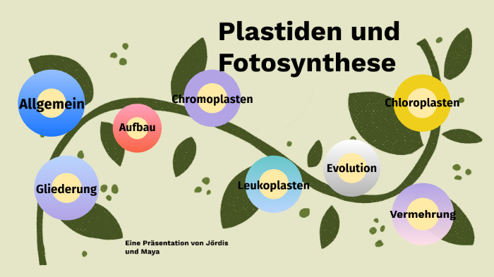 Plastiden by Jördis Rentz on Prezi