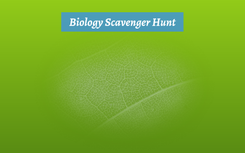 Biology Scavenger Hunt by Laura McGee on Prezi