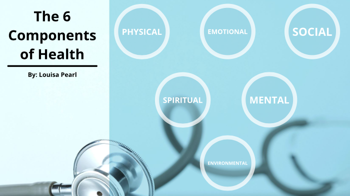 The 6 Components of Health by Louisa Pearl on Prezi