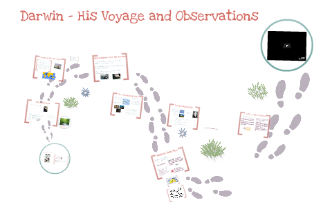 Darwin by Allison Cunningham on Prezi