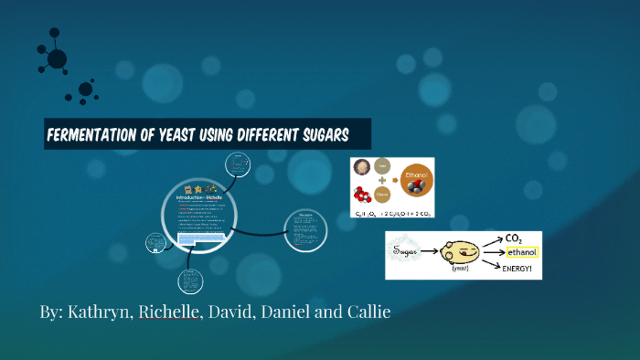 Fermentation of Yeast using different sugars by Kathryn Hargrove on Prezi