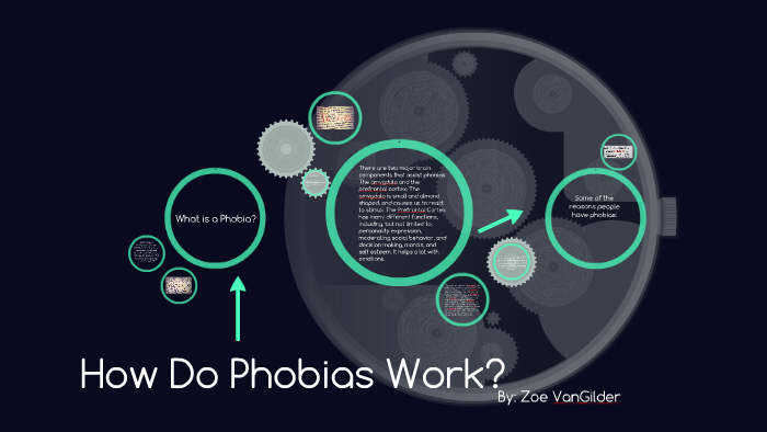 How Do Phobias Work? by Zoe VanGilder on Prezi