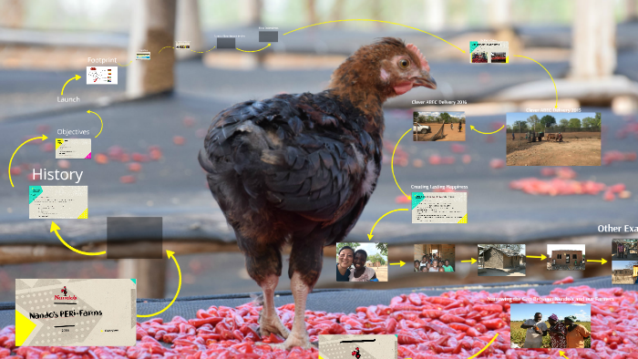Nando’s PERi-Farms Journey by Sam Hirst on Prezi