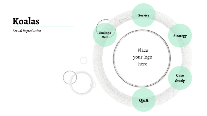 Koala Sexual Reproduction by Dylan Pauling on Prezi