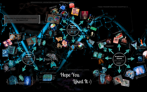 Body System by Gwen Bui on Prezi