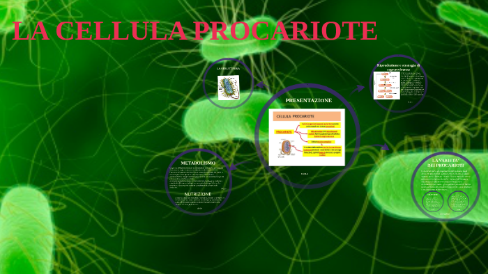 LA CELLULA PROCARIOTE by Ciccio Acquaviva on Prezi