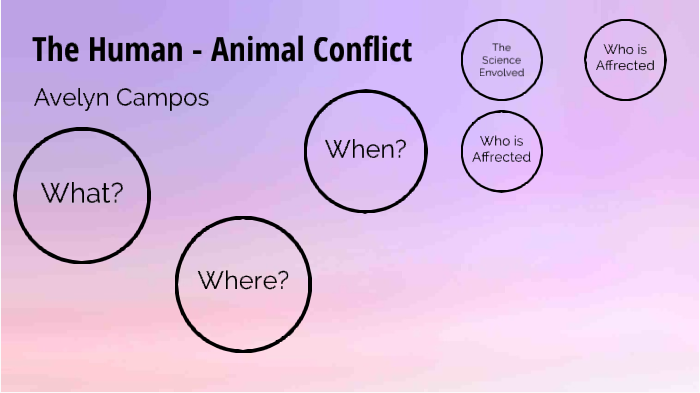 The Human - Animal Conflict by Avelyn Campos on Prezi