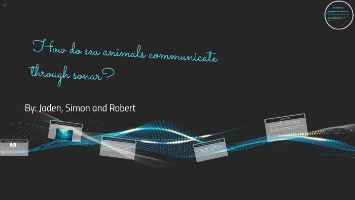 How do sea animals communicate through sonar by Jaden Tomlinson on Prezi