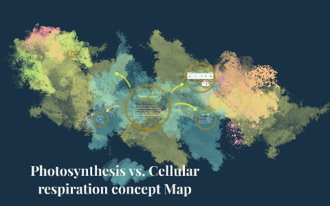 Photosynthesis vs. Cellular respiration concept Map by Matthew Butler ...