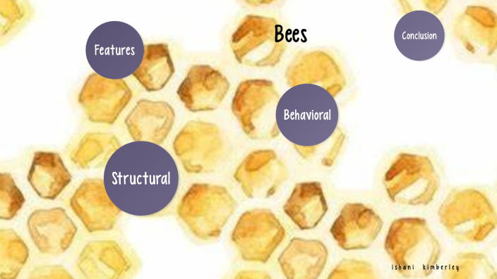 Bees adaptation by Ishani Chand on Prezi