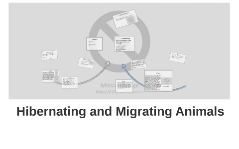 Hibernating and Migrating Animals by Parker Bridges on Prezi