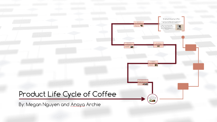 Product Life Cycle of Coffee by Megan Nguyen on Prezi