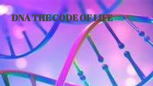 DNA THE CODE OF LIFE by Nomathemba Thembi on Prezi Design