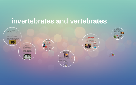 invertebrates and vertebrates by delainey by delainey brown on Prezi