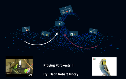 Praying Parakeets!!! by dean tracey on Prezi