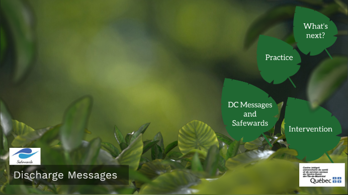 Safewards - Discharge Messages by Vanessa Monterrey Dugré on Prezi
