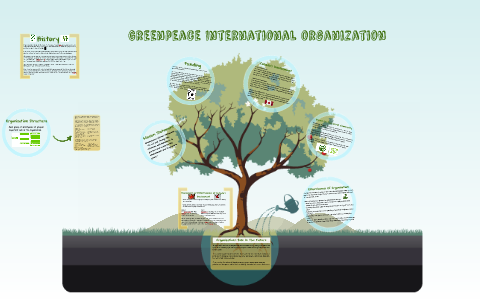 Greenpeace International organization by Anastasia Alexeeff on Prezi