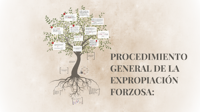 PROCEDIMIENTO GENERAL DE LA EXPROPIACIÓN FORZOSA: by Raquel García on Prezi