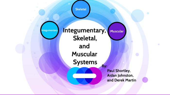 Integumentary, Skeletal, and Muscular Systems by Paul Shortley on Prezi