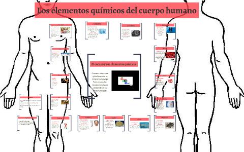 Los elementos quimicos del cuerpo humano by nancy mayek on Prezi