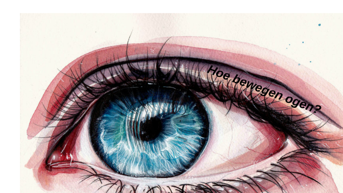 Oogbewegingen by Teuntje Post on Prezi