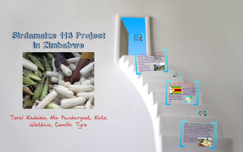 Sirdamaize 113 Project by Toral Kadakia on Prezi