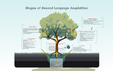 Stages of Second Language Aquisition by Haley Stewart on Prezi