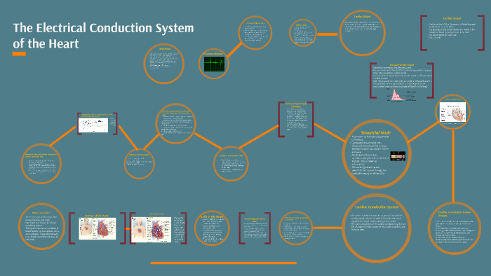 The Electrical System of the Heart by Nichole Sinaloa on Prezi