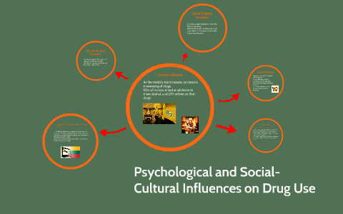 Psychological and Social-Cultural Influences on Drug Use by Catherine ...